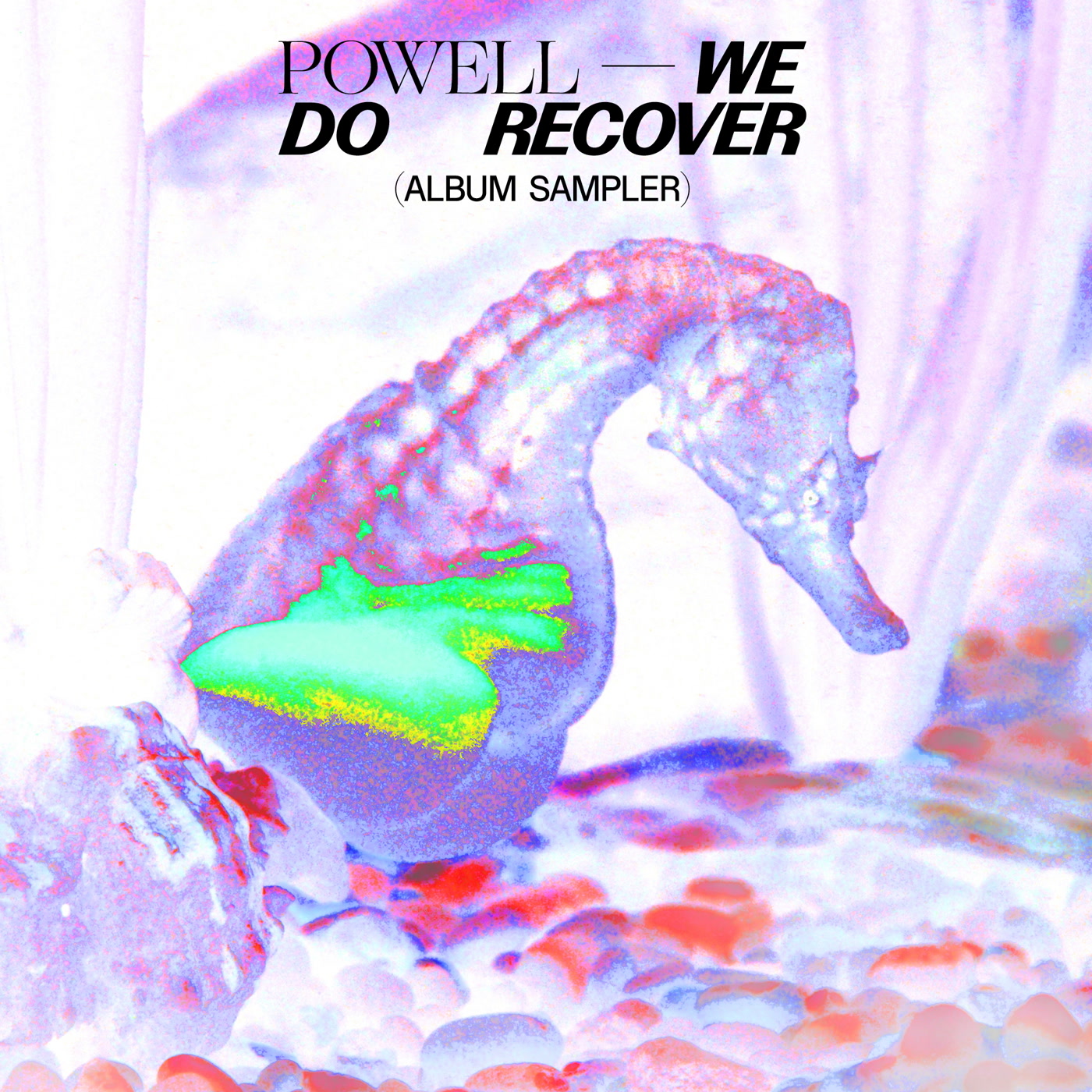 Powell - We Do Recover (Sampler) | Newtone Records Digital