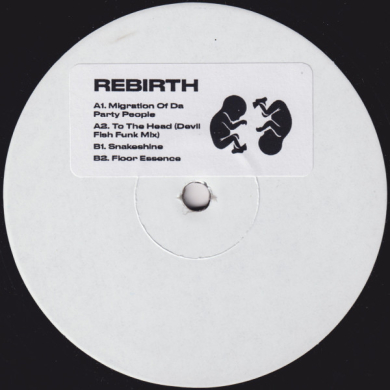 Rebirth - Bassex Selections | NEWTONE RECORDS