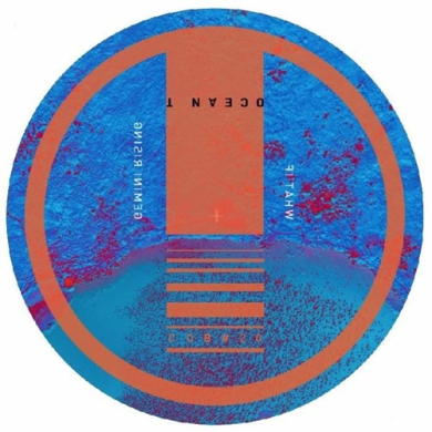 Ocean T / Sasha Pervukhin - Laconica Split EP | NEWTONE RECORDS